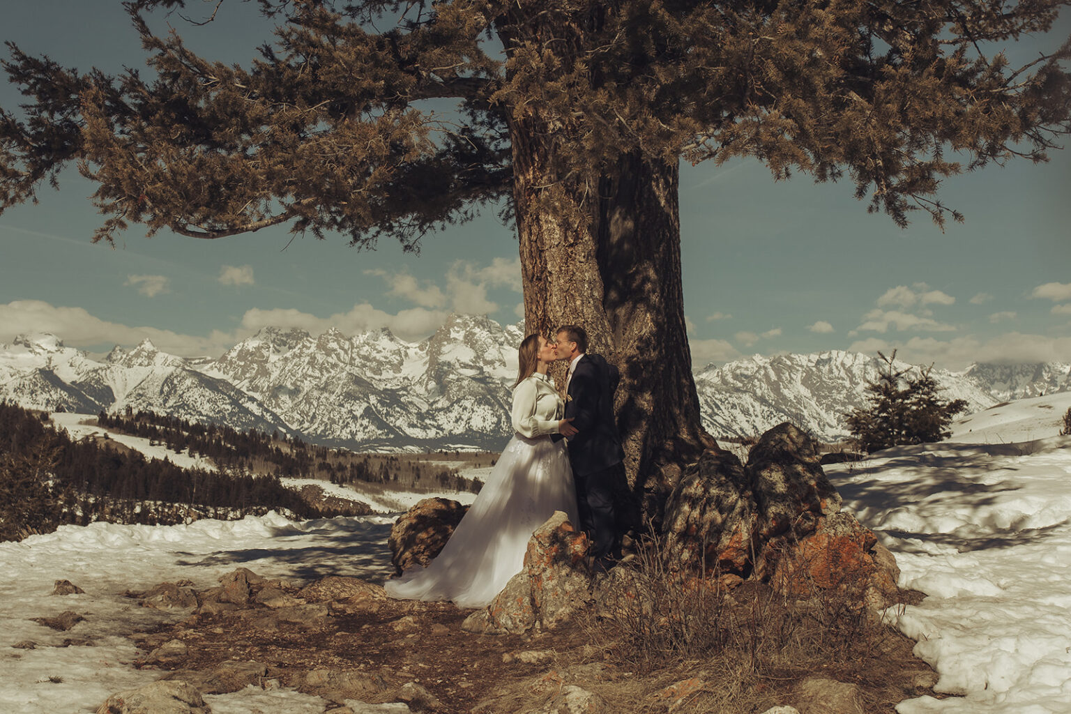 Nina + Trent Wedding Tree Elopement