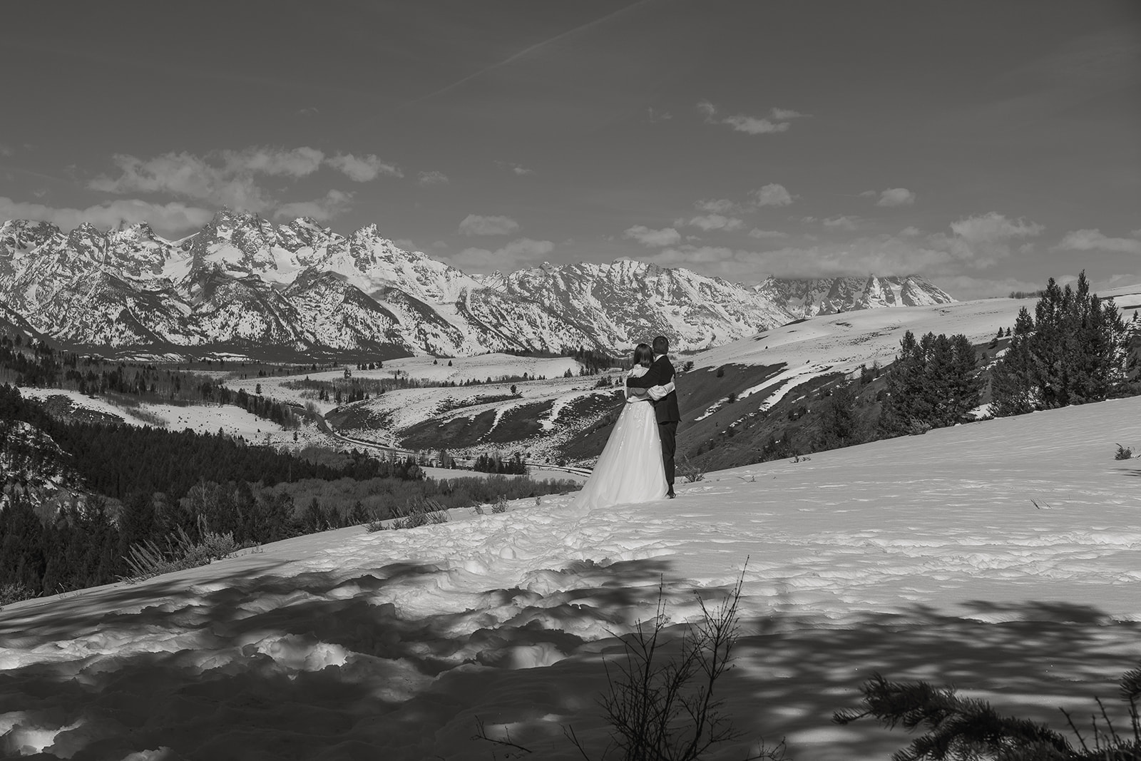 Nina + Trent Wedding Tree Elopement
