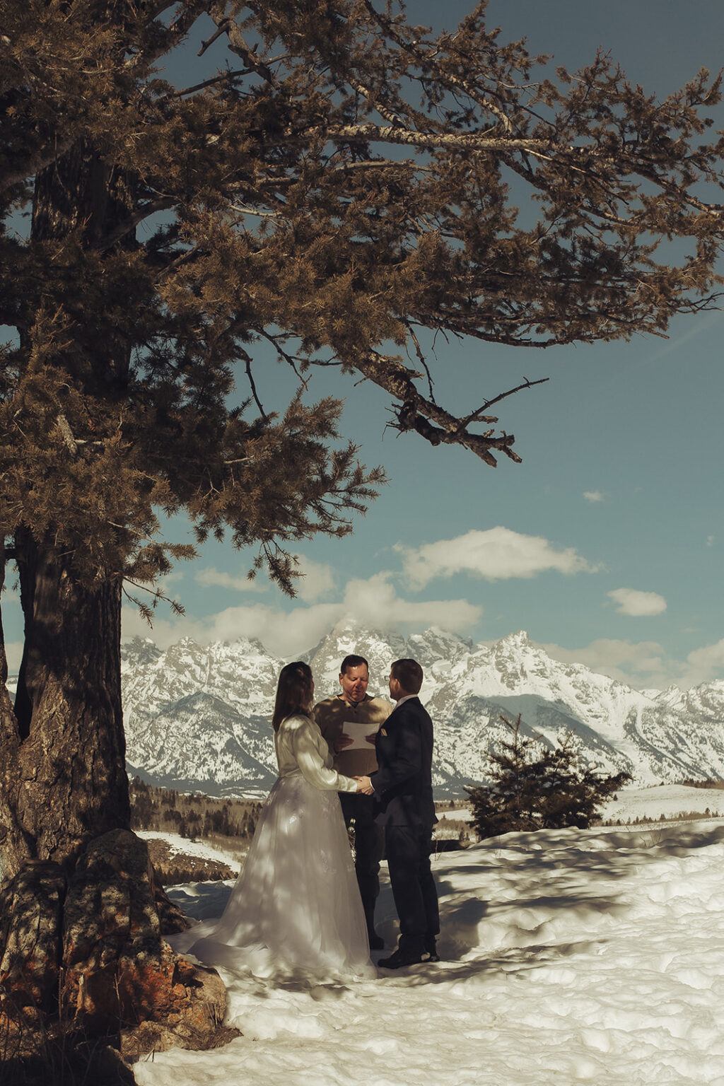 Nina + Trent Wedding Tree Elopement